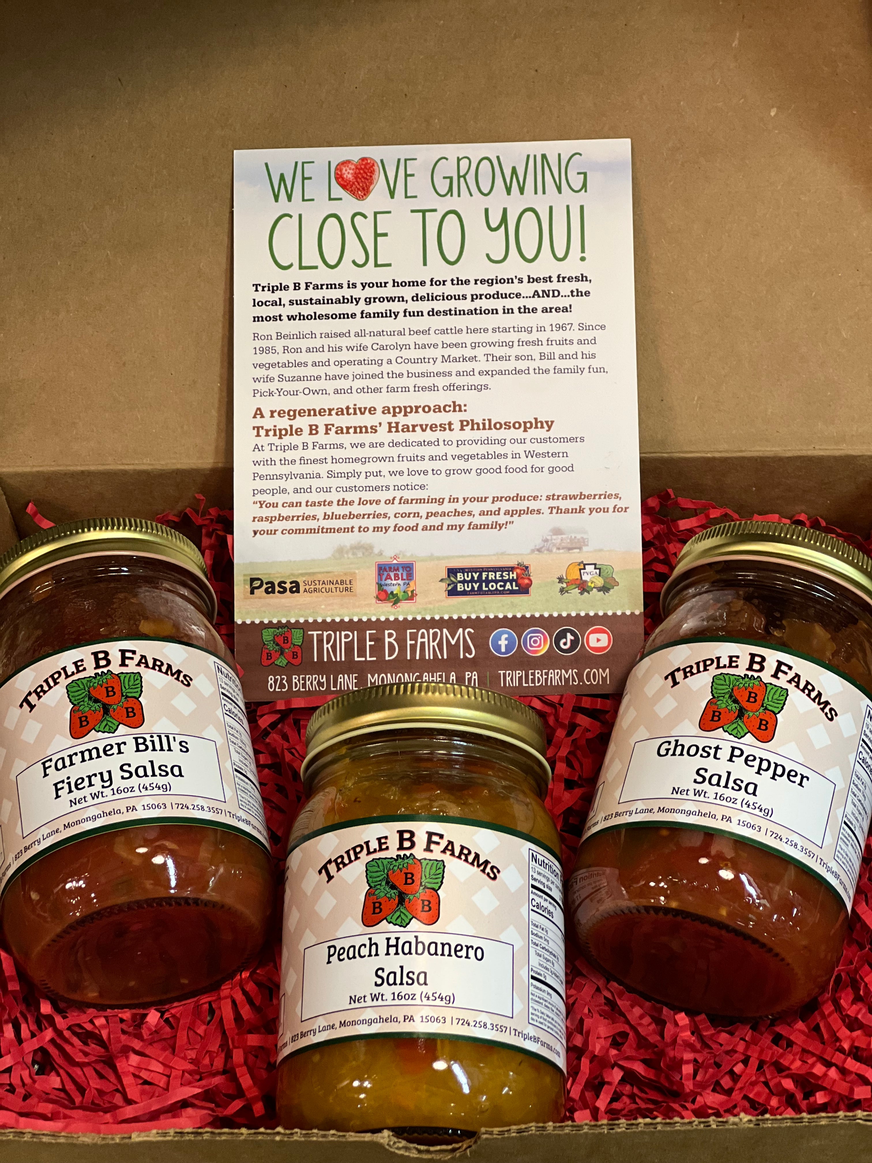 Hot Salsa Gift Box – Triple B Farms